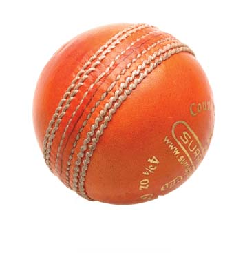 North East Mid Week Cricket League : midweekcricket.com